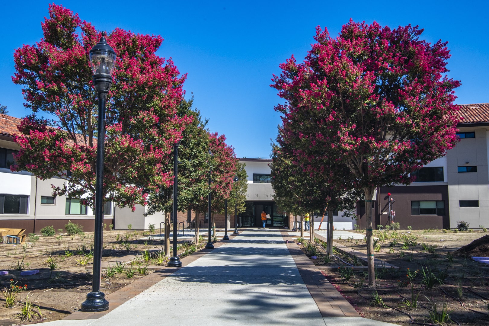 Anderson Hall