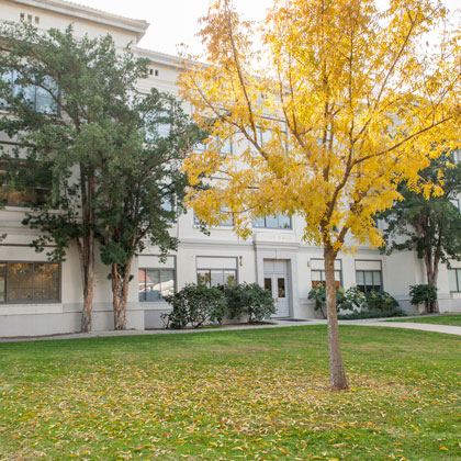 Bachelor of Arts in Economics