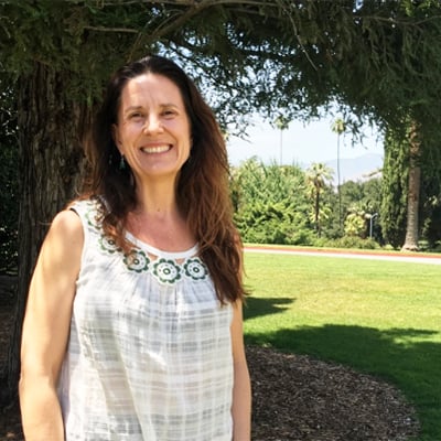 Bachelor of Arts in Public Policy