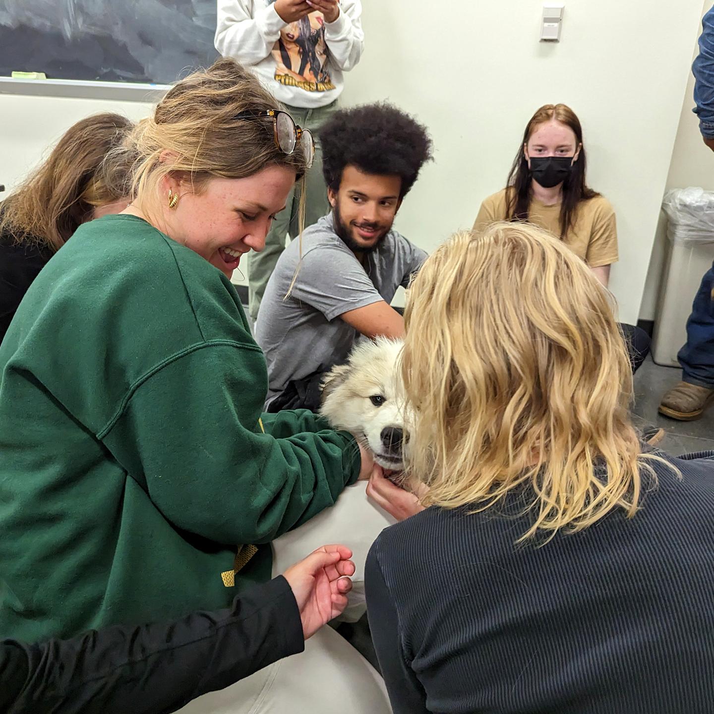 Bachelor of Arts in Human-Animal Studies